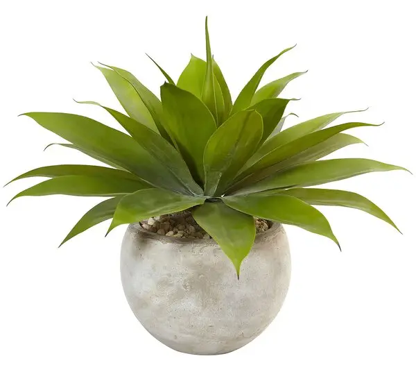 NEARLY NATURAL Agave In Sand Colored Bowl By