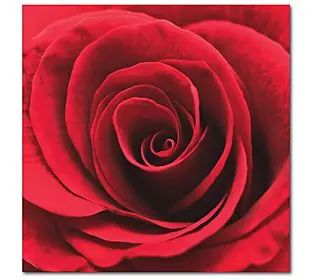 COURTSIDE MARKET Romantic Rose 16 X 16 Canvas W All Art