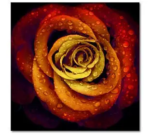 COURTSIDE MARKET Bright Wet Rose 16 X 16 Canvas Wall Art