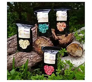 INPOPNITO Camp Pop 4 Pack Kid-friendly Gourmet Opcorn