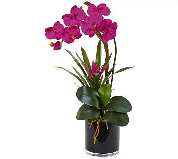 NEARLY NATURAL 26' Orchid & Bromeliad In Glossy Cylinder Ne Arly Natural