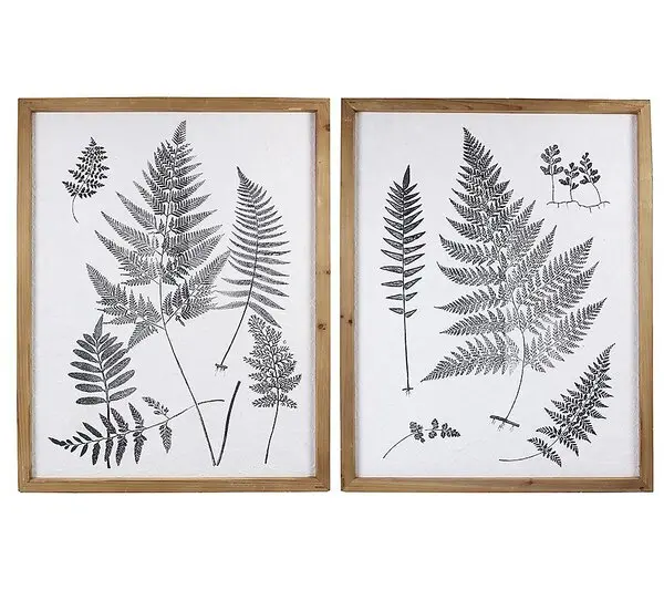 YOUNG'S INC. Young's Wood Framed Wall Botanical Art On Paper, Set Of 2