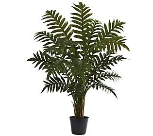 NEARLY NATURAL 3.5' Evergreen Plant By