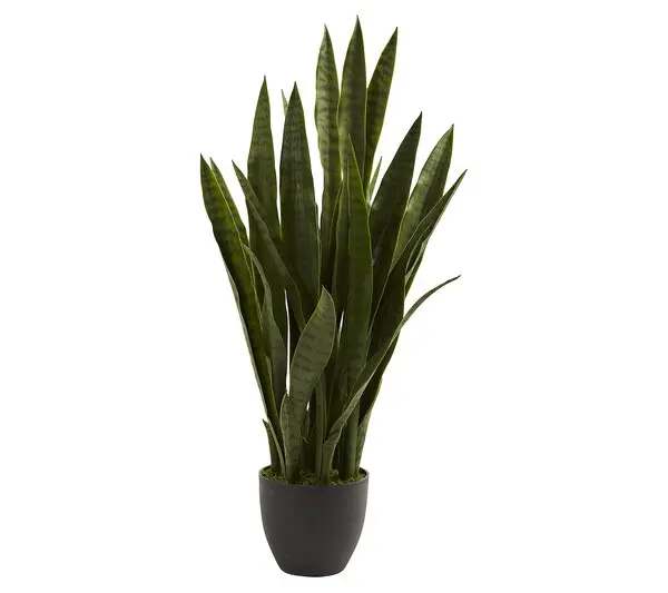 NEARLY NATURAL Sansevieria W/black Planter By