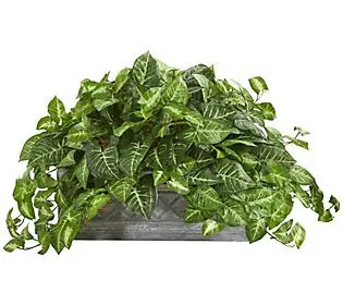 NEARLY NATURAL 18' Nepthytis Plant In Stone Planter Nearly Atural