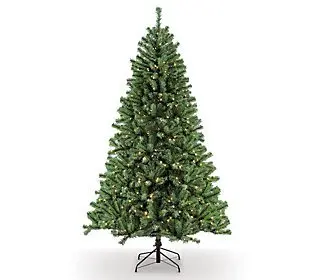 PULEO INTERNATIONAL Puleo Pre-lit 6.5' Northern Fir Artificial Chri Stmas Tree