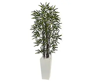 NEARLY NATURAL 5.5' Black Bamboo Tree In White Planter Near Ly Natural