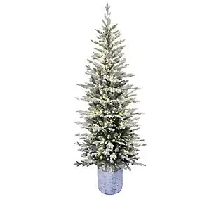 PULEO INTERNATIONAL 6' Prelit Potted Flocked Sc Andinavian Tre