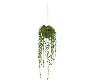 NEARLY NATURAL String-of-pearl Plant Hanging Basket Nearly Atural