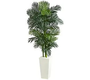NEARLY NATURAL Golden Cane Palm Tree In White Planter Nearl Y Natural