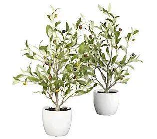 NEARLY NATURAL 18' Set Of 2 Olive Tree With Vases Nearly Na Tural