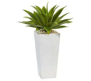 NEARLY NATURAL Agave In White Planter By
