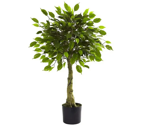 NEARLY NATURAL 3' Ficus Tree By