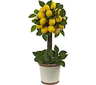 NEARLY NATURAL Lemon Ball Topiary Arrangement Nearly Natura L