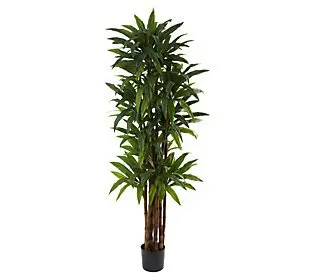 NEARLY NATURAL 6.5' Dracaena Tree