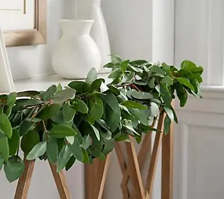 VALERIE PARR HILL 4' Eucalyptus Leaf Garlandby Valerie
