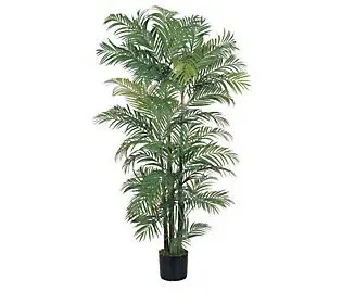 NEARLY NATURAL 6' Areca Palm Tree By