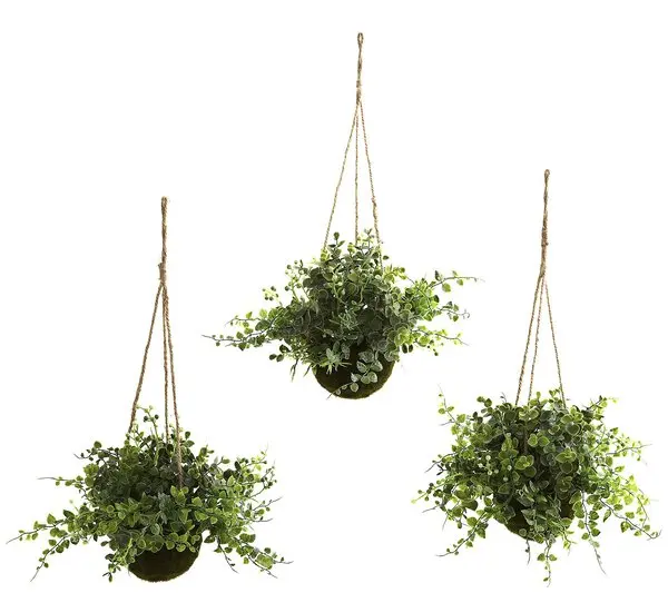 NEARLY NATURAL Eucalyptus Hanging Basket Set Of 3 Nearly Na Tural