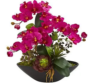 NEARLY NATURAL Phalaenopsis Orchid And Succulent In Vase Ne Arly Natural