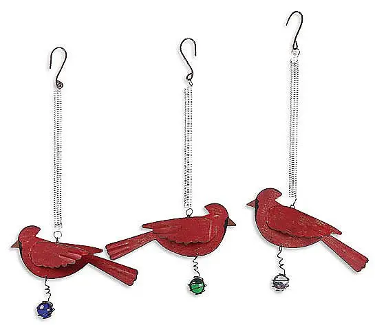 SUNSET VISTA DESIGNS Svd Cardinal Bouncy Set Of 3
