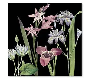 COURTSIDE MARKET Dusty Plum Botanical Ii 16x16 Canvas Wall Art
