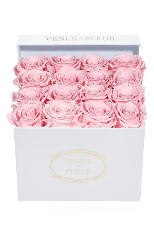 Venus Et Fleur Classic Small Square Eternity Roses - Pink