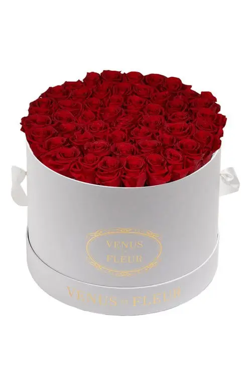 Venus Et Fleur Classic Large Eternity Roses - Dark Red