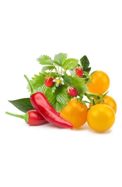 CLICK AND GROW 9-pack Fruit & Veggie Mix