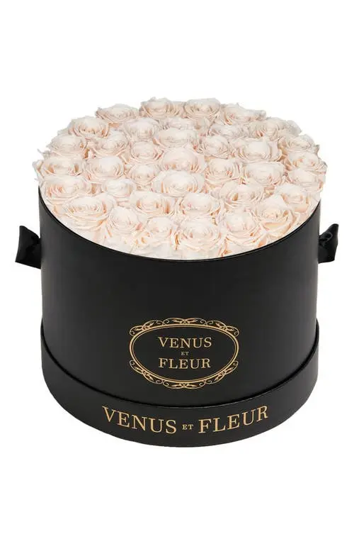 Venus Et Fleur Classic Large Eternity Roses - Blush