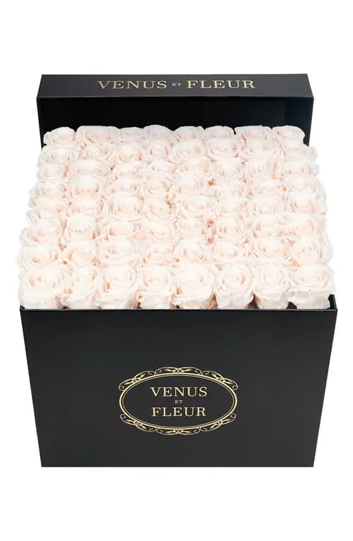 Venus Et Fleur Classic Large Eternity Roses - Blush