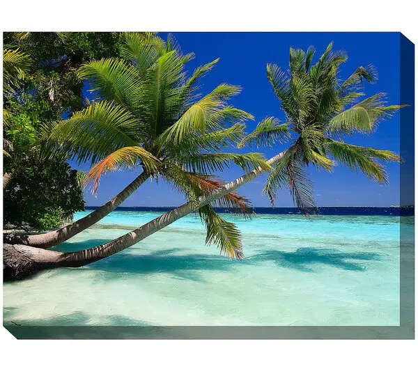 WEST OF THE WIND Outdoor Canvas Art Palms Duo 4 0' X 30