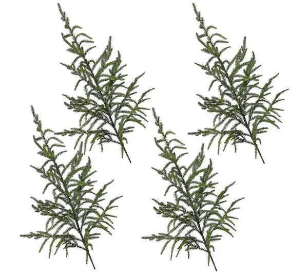 VALERIE PARR HILL S/4 Natural Touch Norfolk Pine Spray Valerie