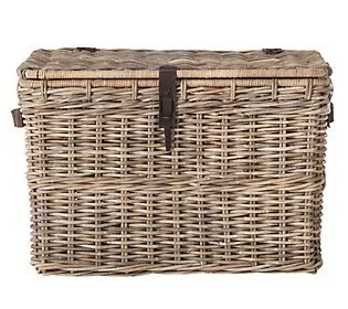 SAFAVIEH Amancio Wicker Trunk
