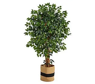 NEARLY NATURAL 5.5' Palace Ficus Cotton Planter Nearly Natu Al