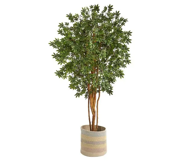 NEARLY NATURAL 6' Japanese Maple/natural Multic Olored Planter