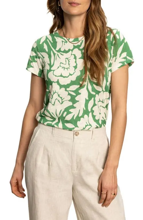 Sanctuary Printed T-shirt - Palm Green