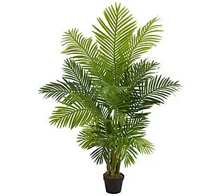 NEARLY NATURAL 5' Hawaii Palm Artificial Tree Nearly Natura L