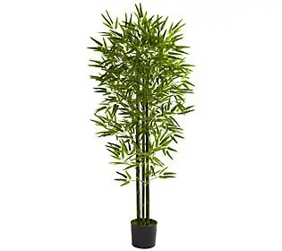 NEARLY NATURAL 5' Bamboo Tree By - One-color