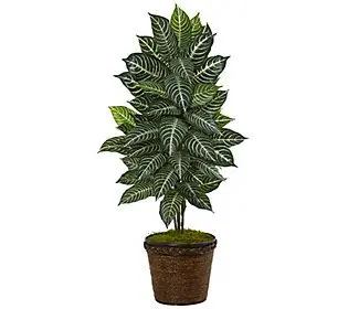 NEARLY NATURAL 4' Zebra Plant In Coiled Rope Planter By