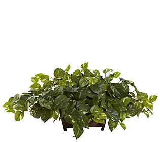 NEARLY NATURAL Pothos Window Box Silk Plant By
