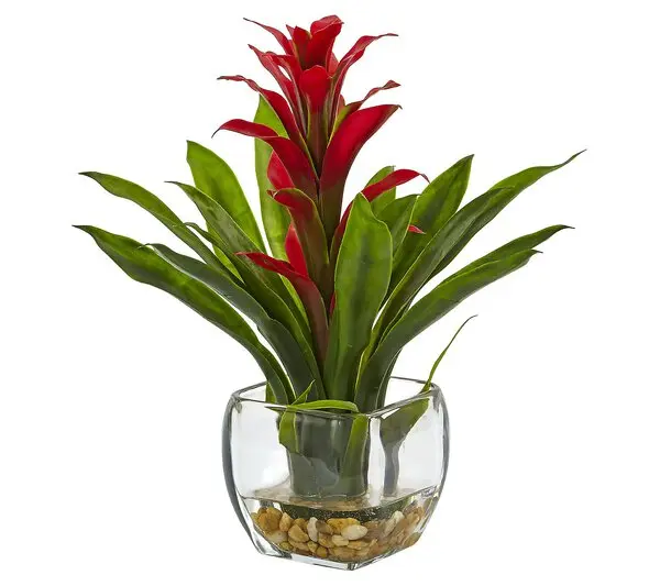 NEARLY NATURAL Bromeliad With Vase Arrangement By