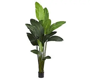 NEARLY NATURAL Travelers Palm Artificial Tree Nearly Natura L - One-color