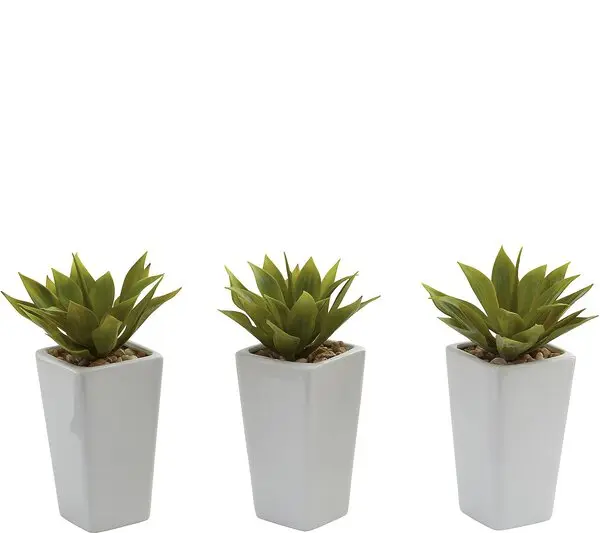 NEARLY NATURAL Set Of 3 Mini Agave Plants By