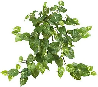 NEARLY NATURAL Set Of 3 Pothos Hanging Plants Nearly Natura L