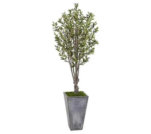 NEARLY NATURAL 6' Olive Tree In Stone Planter By - One-color