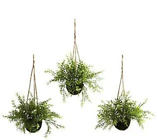 NEARLY NATURAL Ruscus Hanging Basket Set Of 3 Nearly Natura L