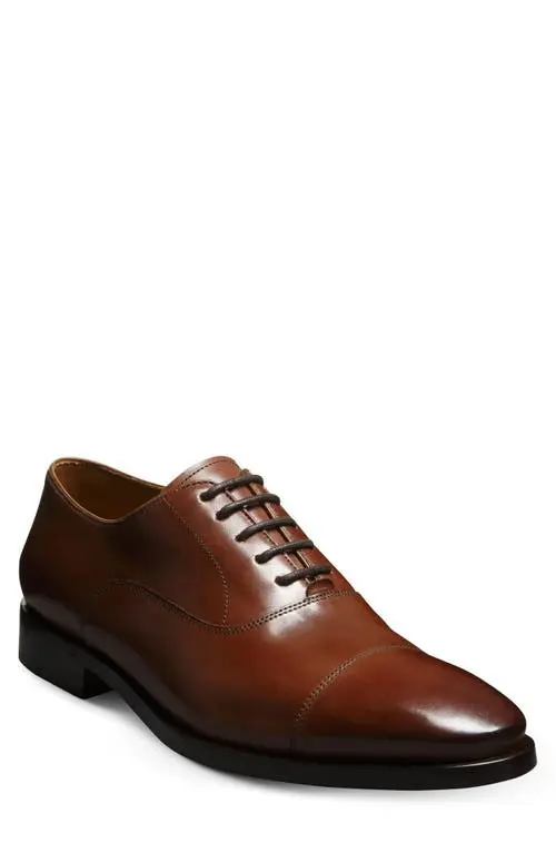 Allen Edmonds Siena Cap Toe Oxford - Chili