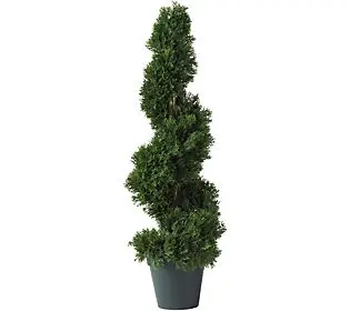 NEARLY NATURAL 2' Spiral Cedar Tree By