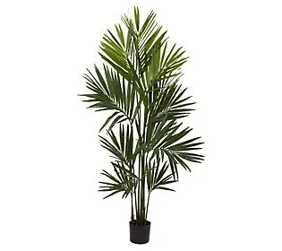 NEARLY NATURAL 7' Kentia Palm Silk Tree By