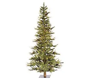 VICKERMAN 5' X 35' Ashland Tree By